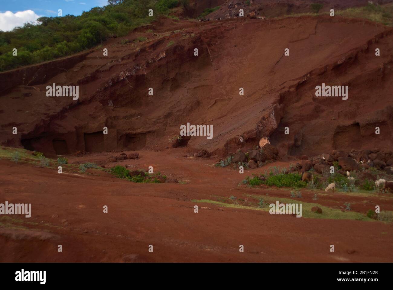 A quarry for the extraction of red soil "murram", used for road and ...