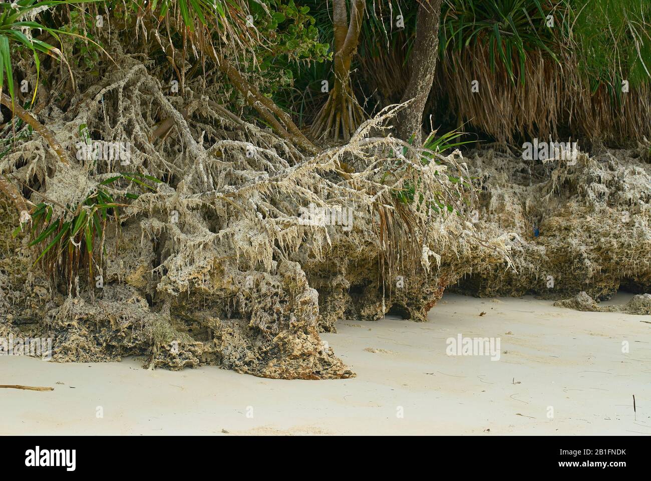 Plastic pollution beach zanzibar hi-res stock photography and images ...