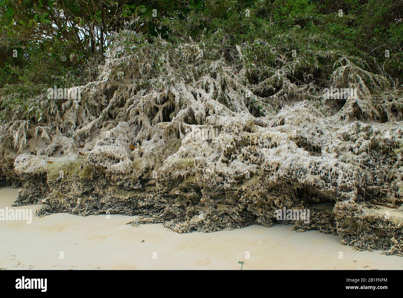 Plastic pollution beach zanzibar hi-res stock photography and images ...