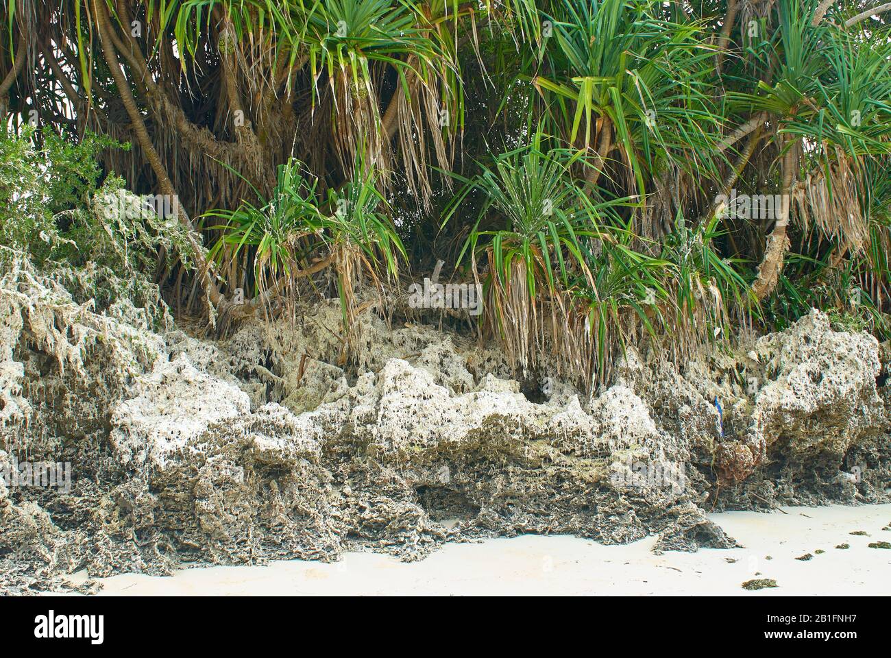 Plastic pollution beach zanzibar hi-res stock photography and images ...