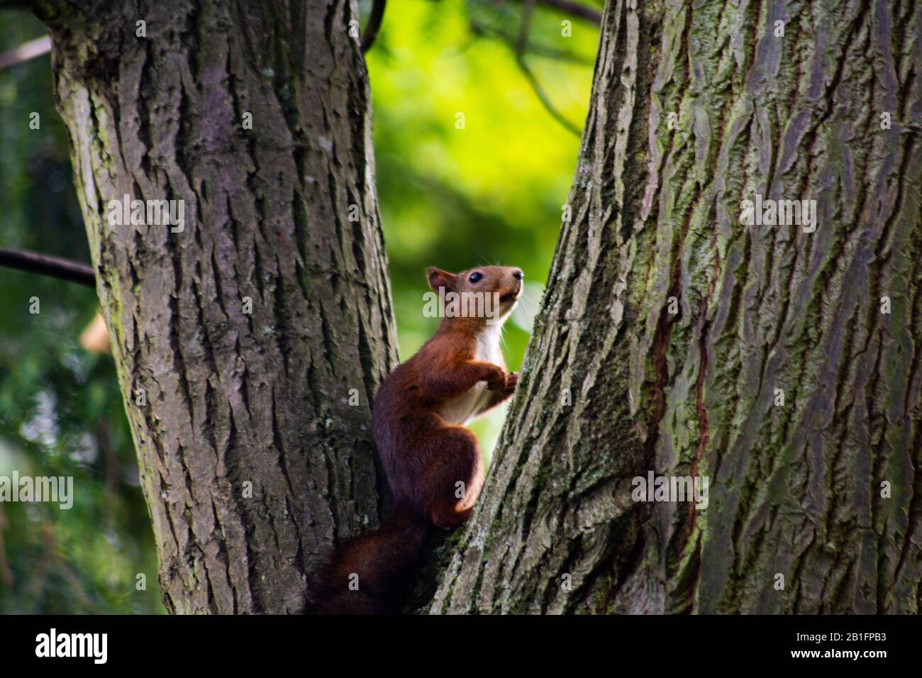 Telefoto hi-res stock photography and images - Alamy