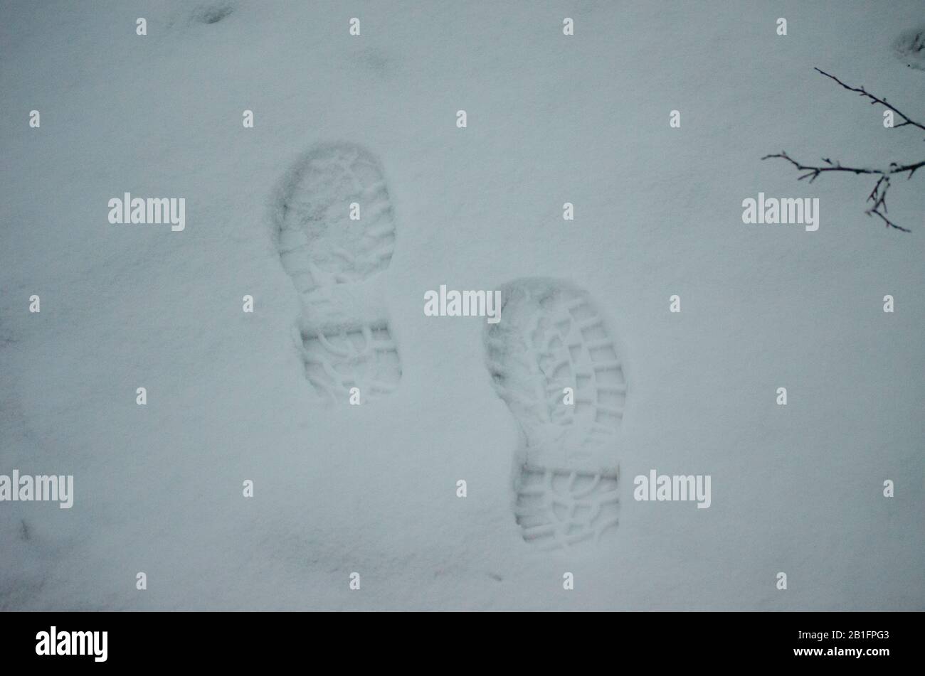 Footsteps in Snow Stock Photo - Alamy