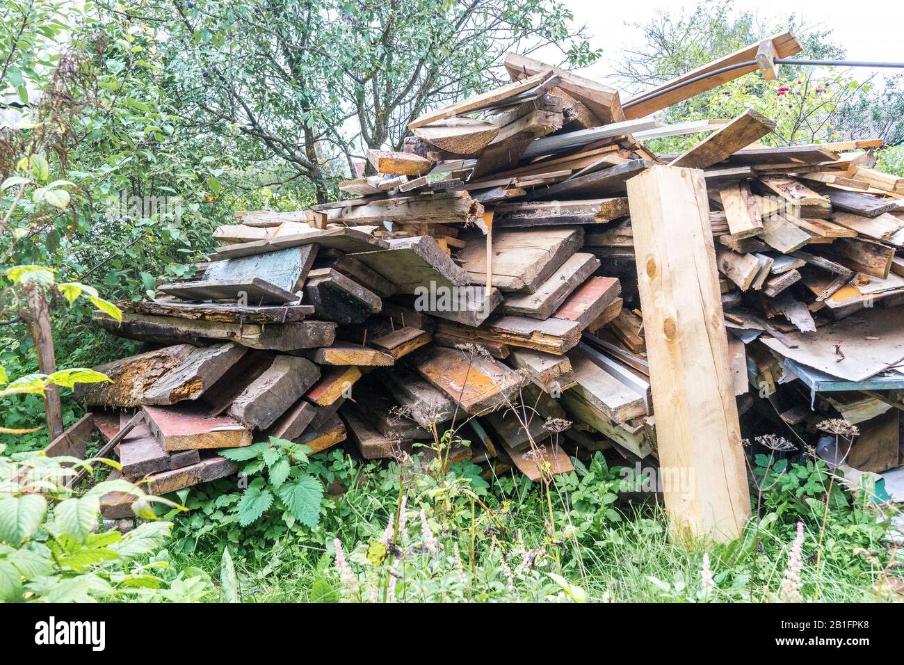 Pile of old rotten wooden planks with long rusty nails in garden ...
