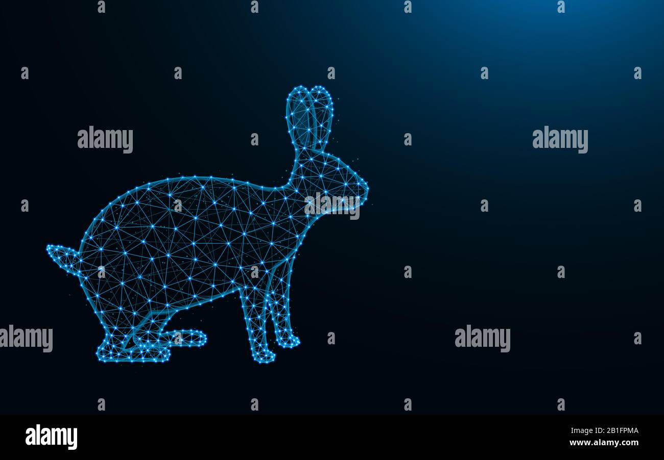 Rabbit made from points and lines on dark blue background, hare ...