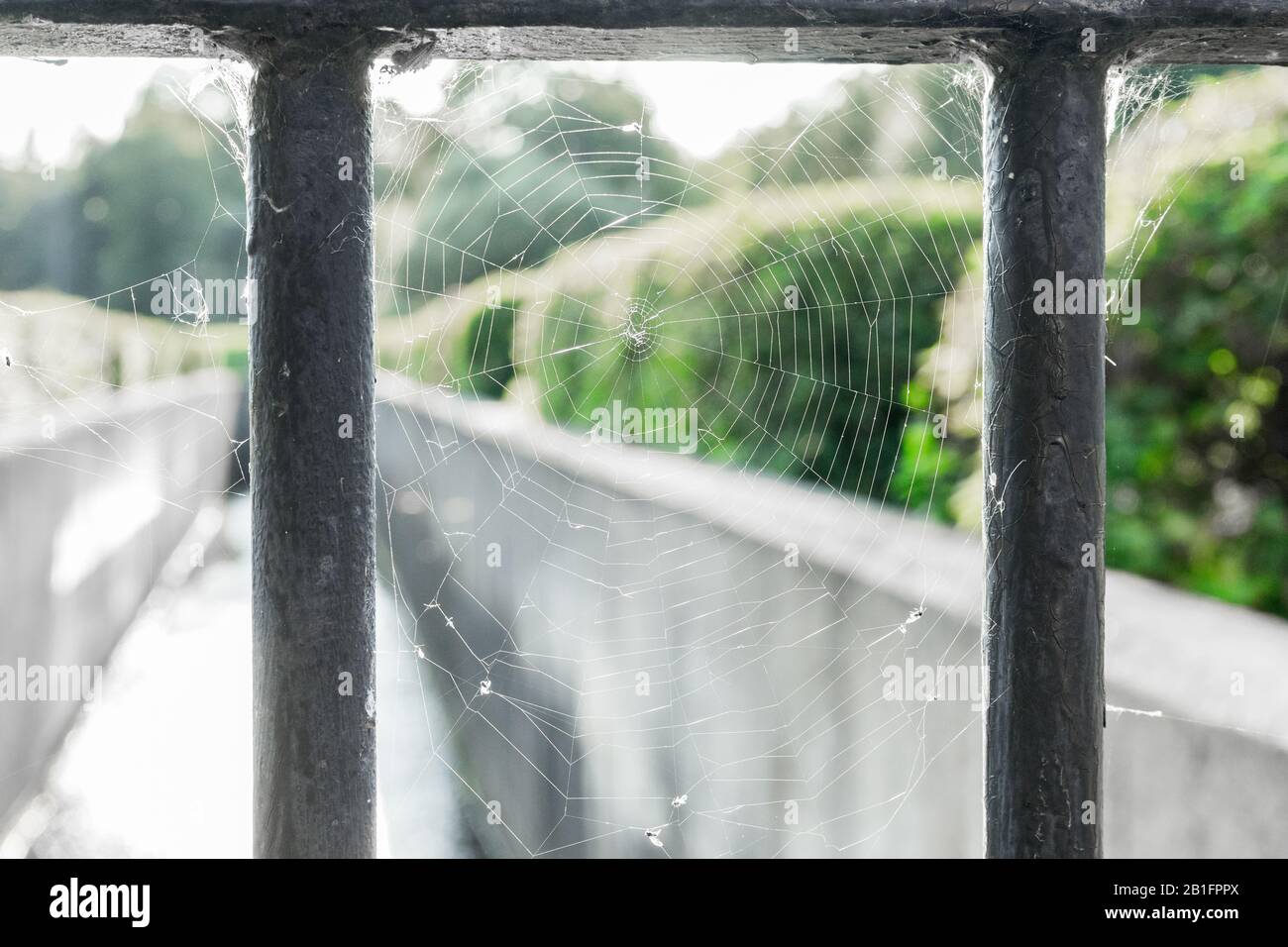 Spider on railing hi-res stock photography and images - Alamy