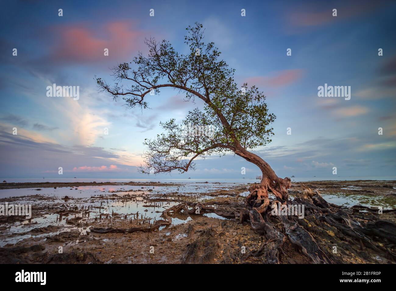 Wonderful Landscape Photos at Batam Bintan Island Indonesia Stock Photo ...