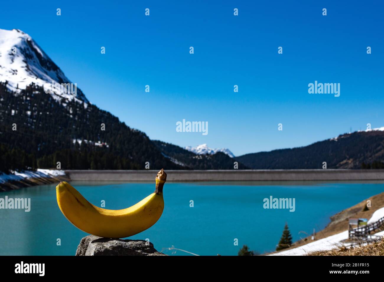 Blue banana hi-res stock photography and images - Alamy