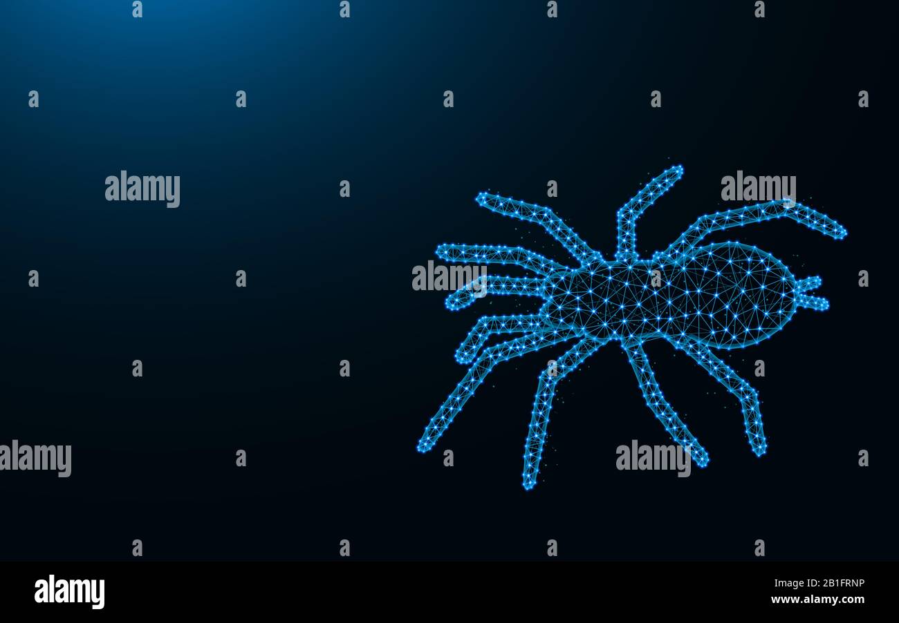 Spider made from points and lines on dark blue background, tarantula ...