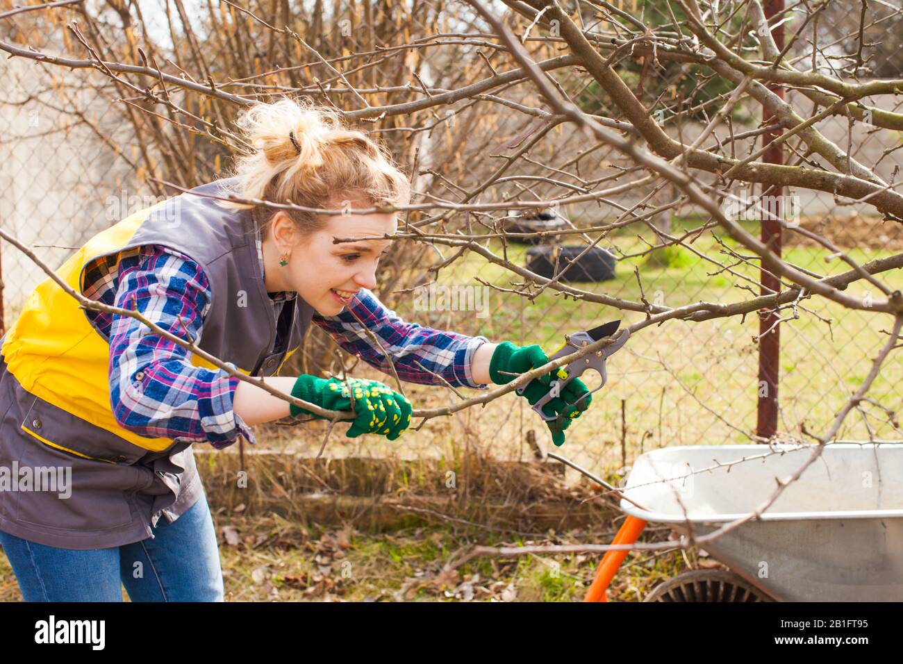 Happy female gardener pruning fruit tree in early spring Stock Photo ...