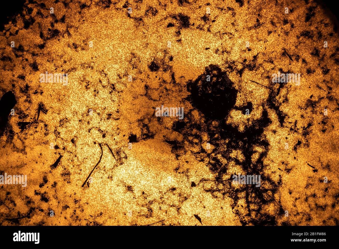 Rusty dirty lamp covered in hi-res stock photography and images - Alamy