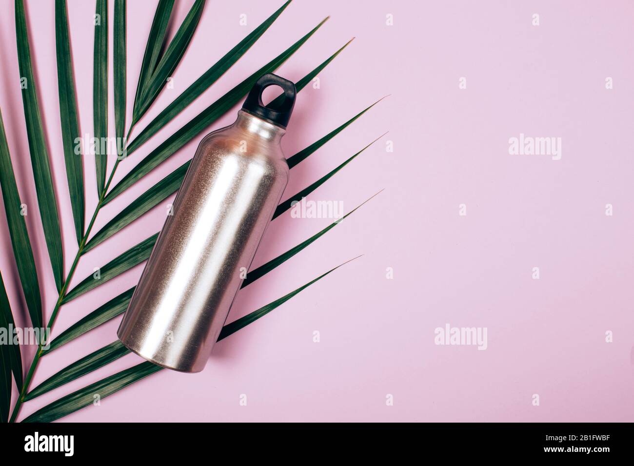 Zero waste bottle on palm leaf and pastel pink background Stock Photo ...