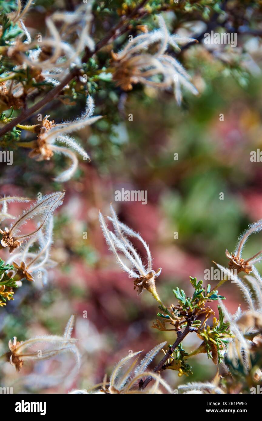 Rediscover nature hi-res stock photography and images - Alamy