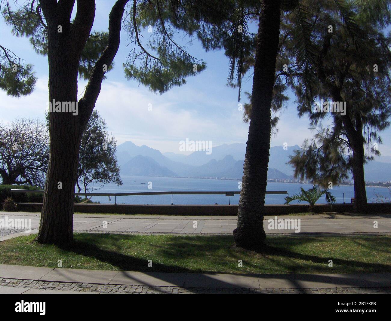 Mountain Shades and Tree Shadows Stock Photo - Alamy