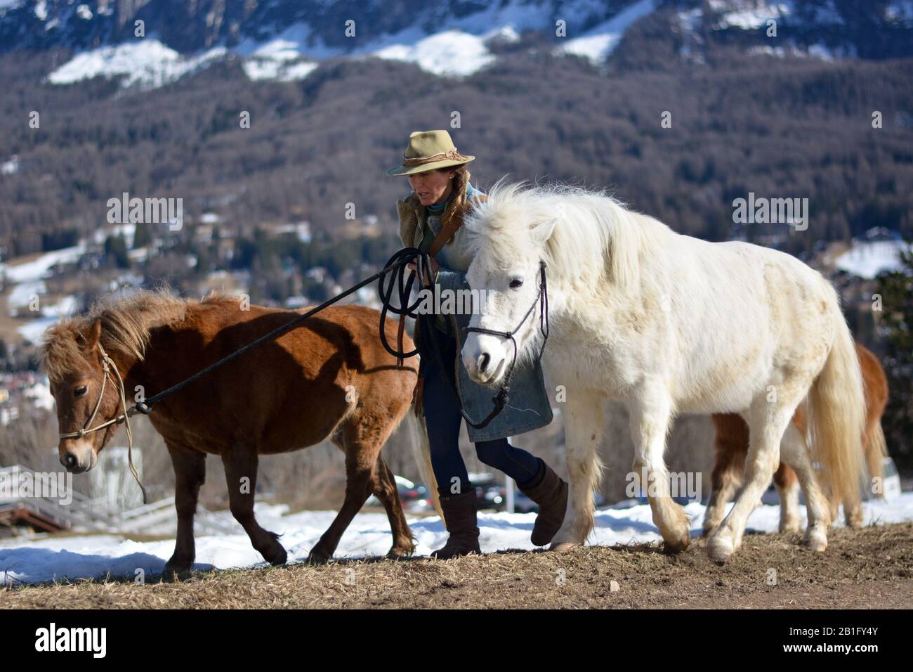 the hard life on the farm Stock Photo - Alamy