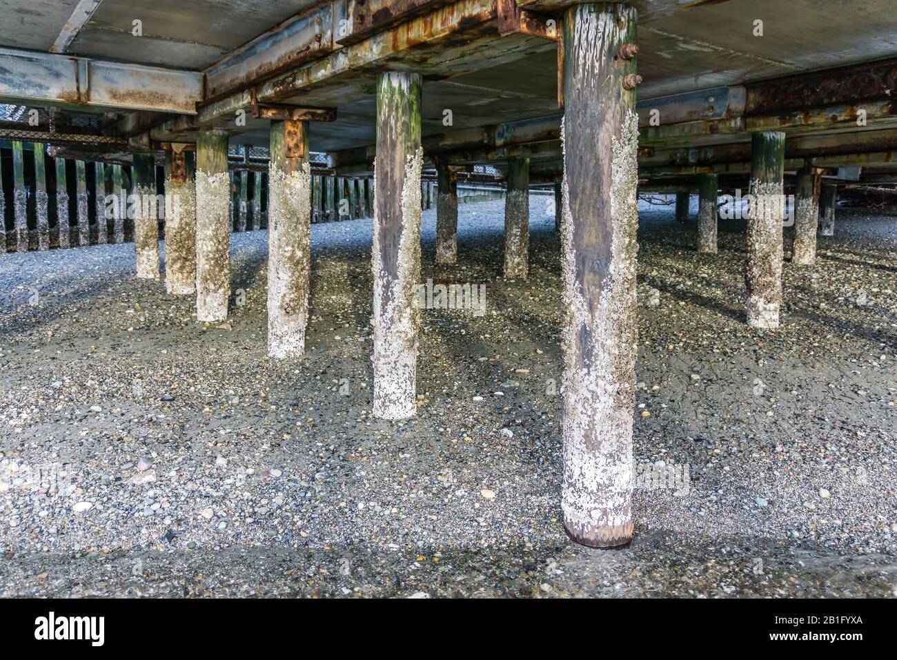 Piling with barnacles hi-res stock photography and images - Alamy