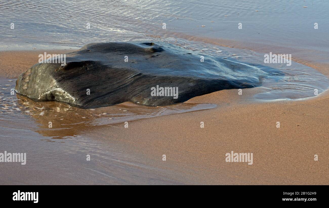 Colour photograph of coastal rocks on beach some smoothed and rounded ...