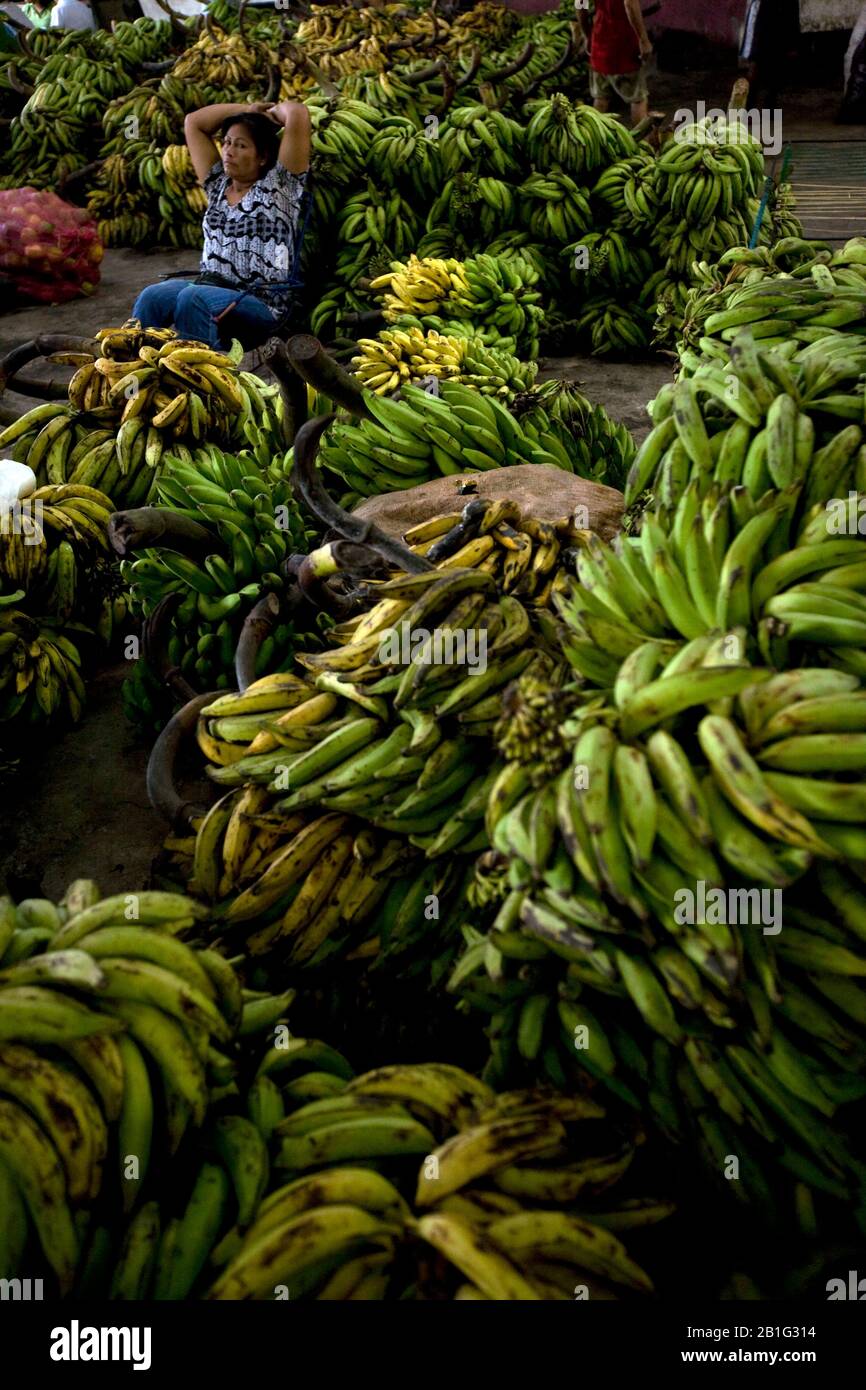 Bananas for sale at the producer market Stock Photo - Alamy