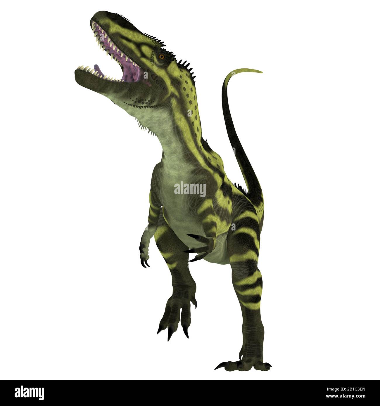 Torvosaurus was a carnivorous theropod dinosaur that lived in Colorado and Portugal during the ...