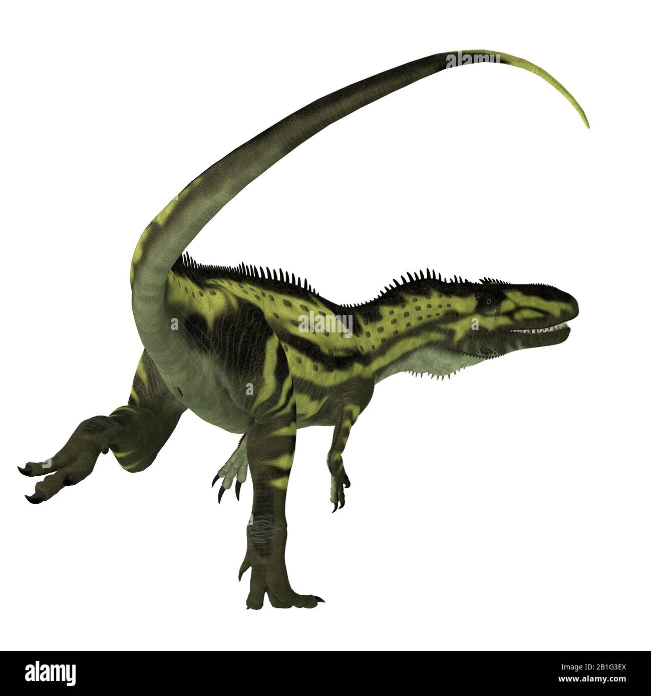 Torvosaurus hi-res stock photography and images - Alamy