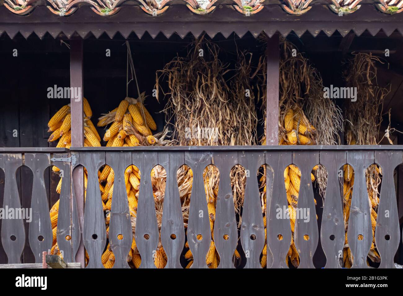 Corn meal historical hi-res stock photography and images - Alamy