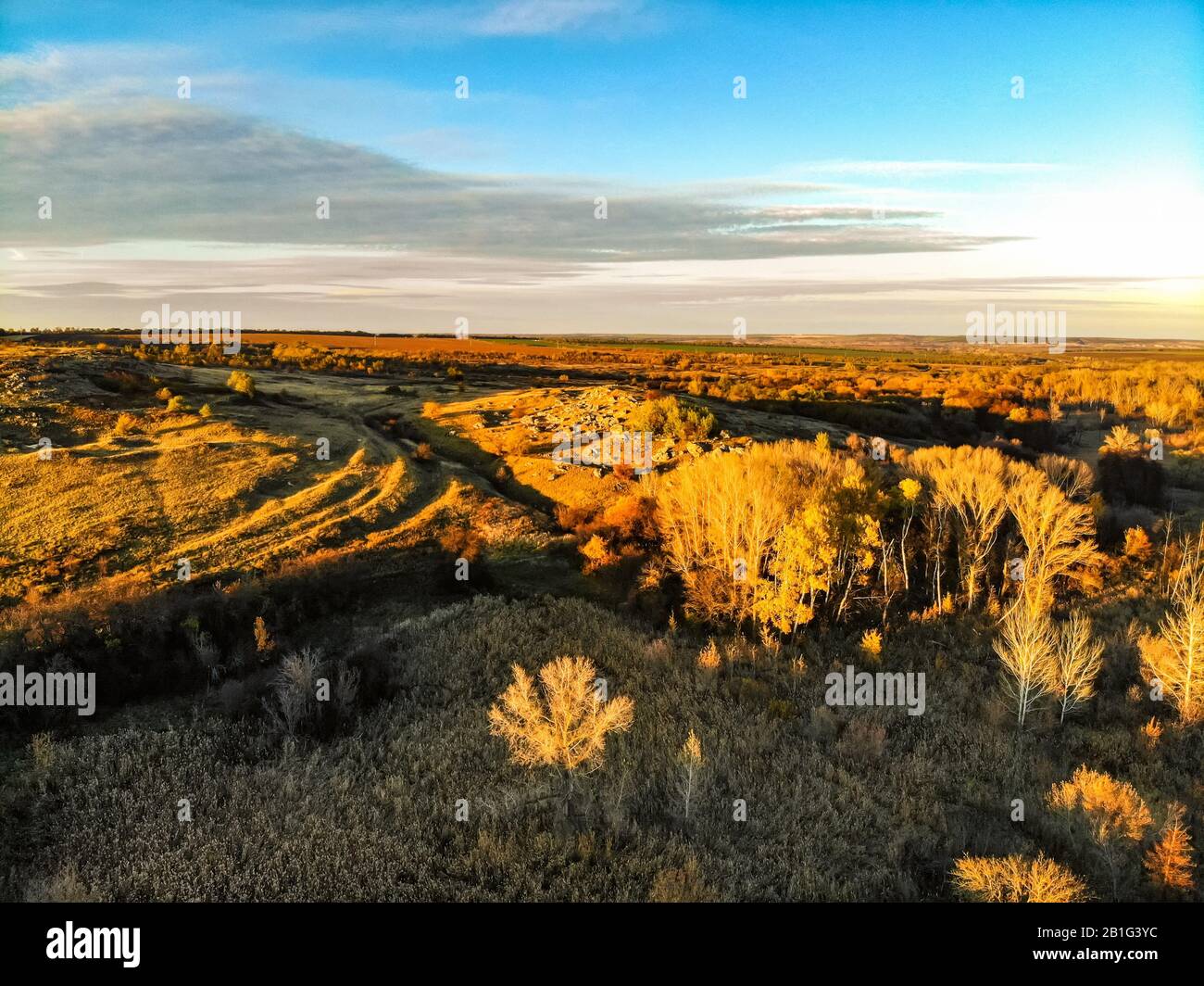Aerial view of golden trees in steppe taken by drone Stock Photo - Alamy