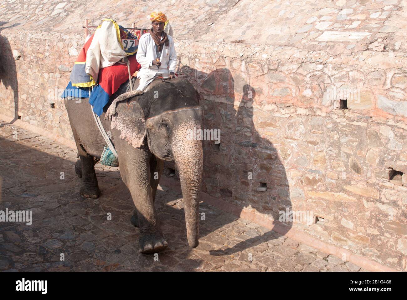 Elephant Ride, Amber Palace, Jaipur, Rajasthan, India Stock Photo - Alamy