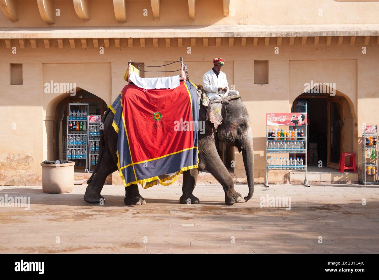 Goa elephant ride hi-res stock photography and images - Alamy
