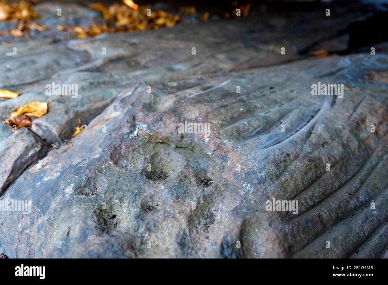 View of stone with petroglyphs of Yamnaya culture in Don region Stock ...