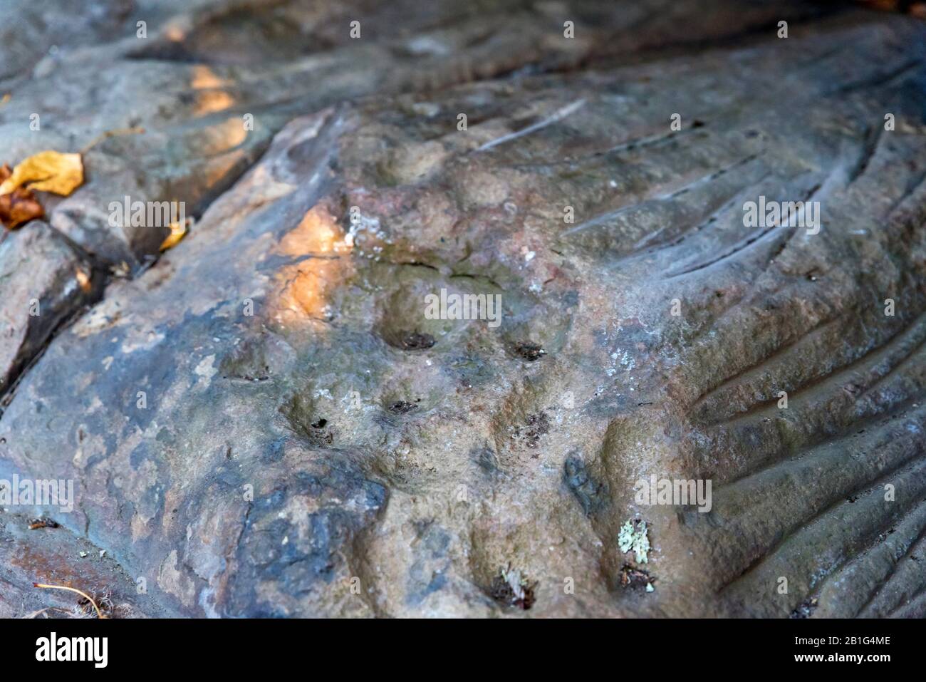 View of stone with petroglyphs of Yamnaya culture in Don region Stock ...