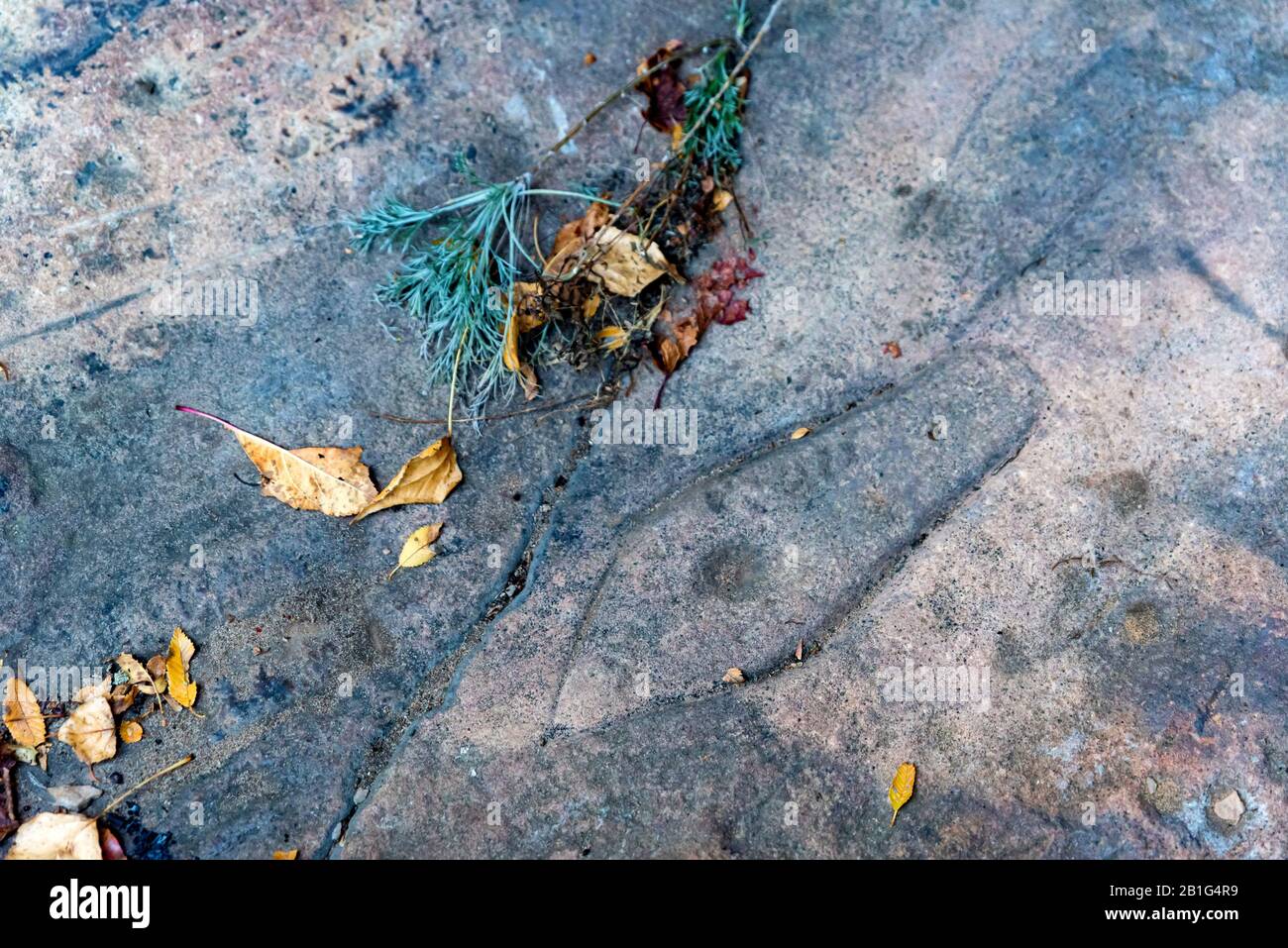 View of stone with petroglyphs of Yamnaya culture in Don region Stock ...