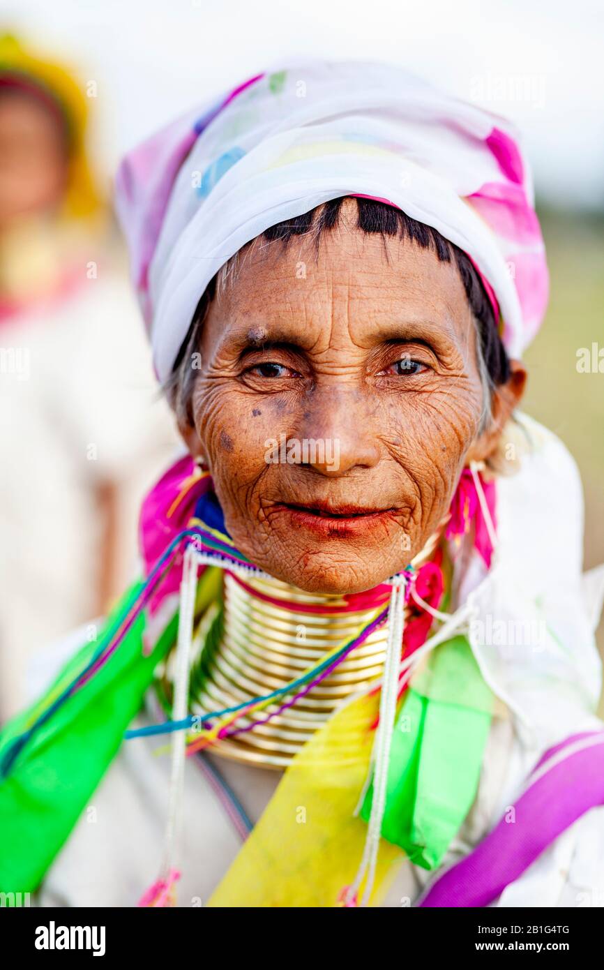 Brass neck coils hi-res stock photography and images - Alamy