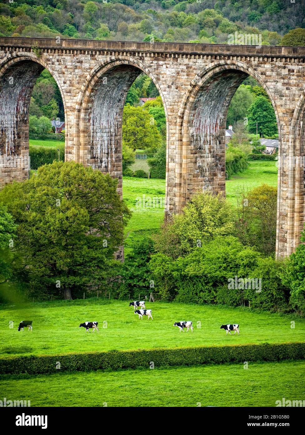 Traphont Cefn Mawr train Viaduct over the River Dee new Newbridge ...
