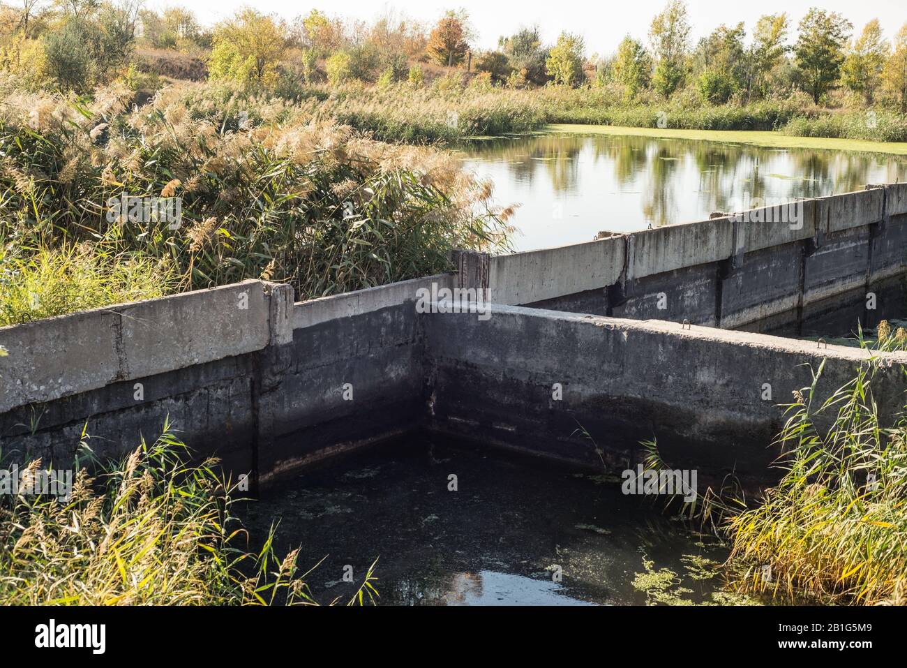 natural purification of fresh water in a sump. The landscape of the ...
