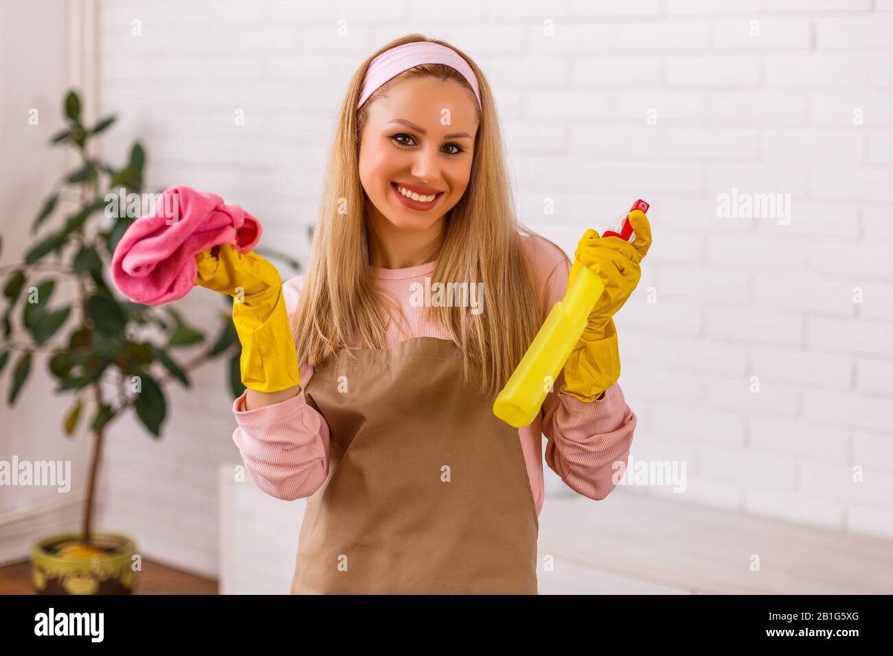 Beautiful housewife enjoys cleaning her home Stock Photo - Alamy