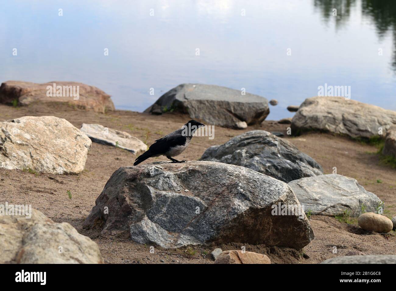 Crows rocks hi-res stock photography and images - Alamy