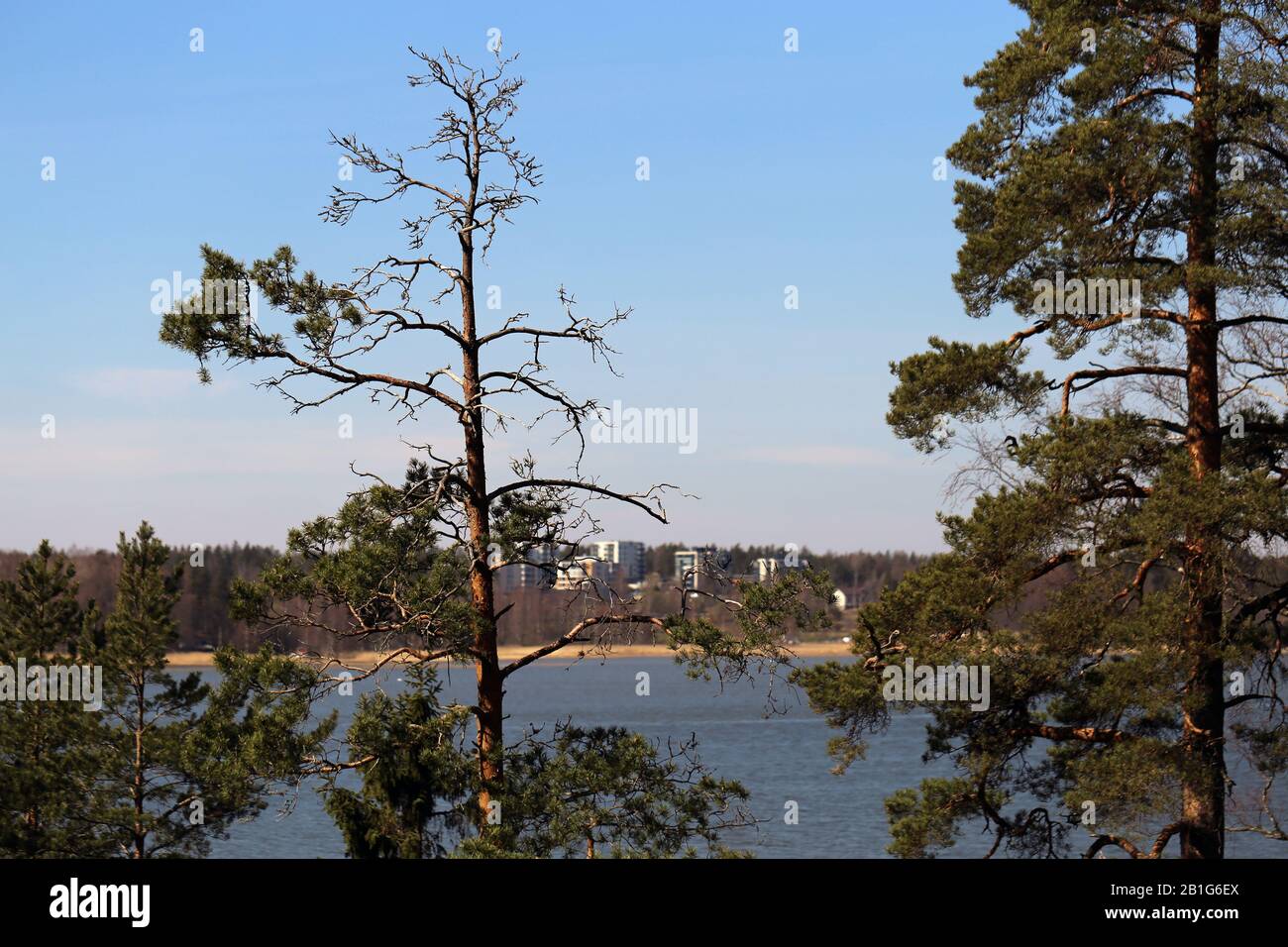Beautiful landscape from Southern Finland. There is Baltic sea, clear ...