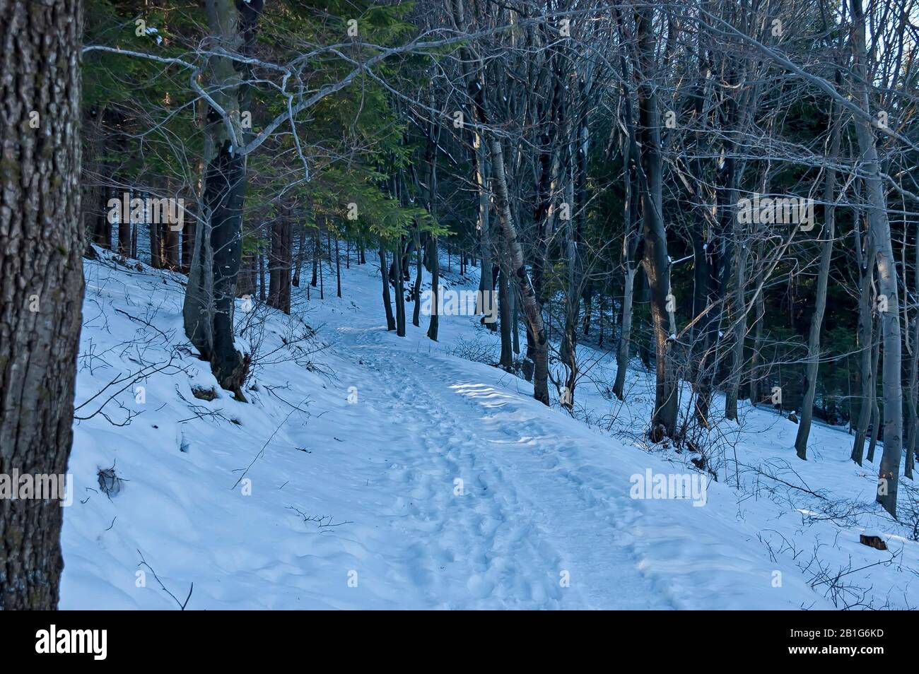 Idyllic snowy landscape road hi-res stock photography and images - Alamy