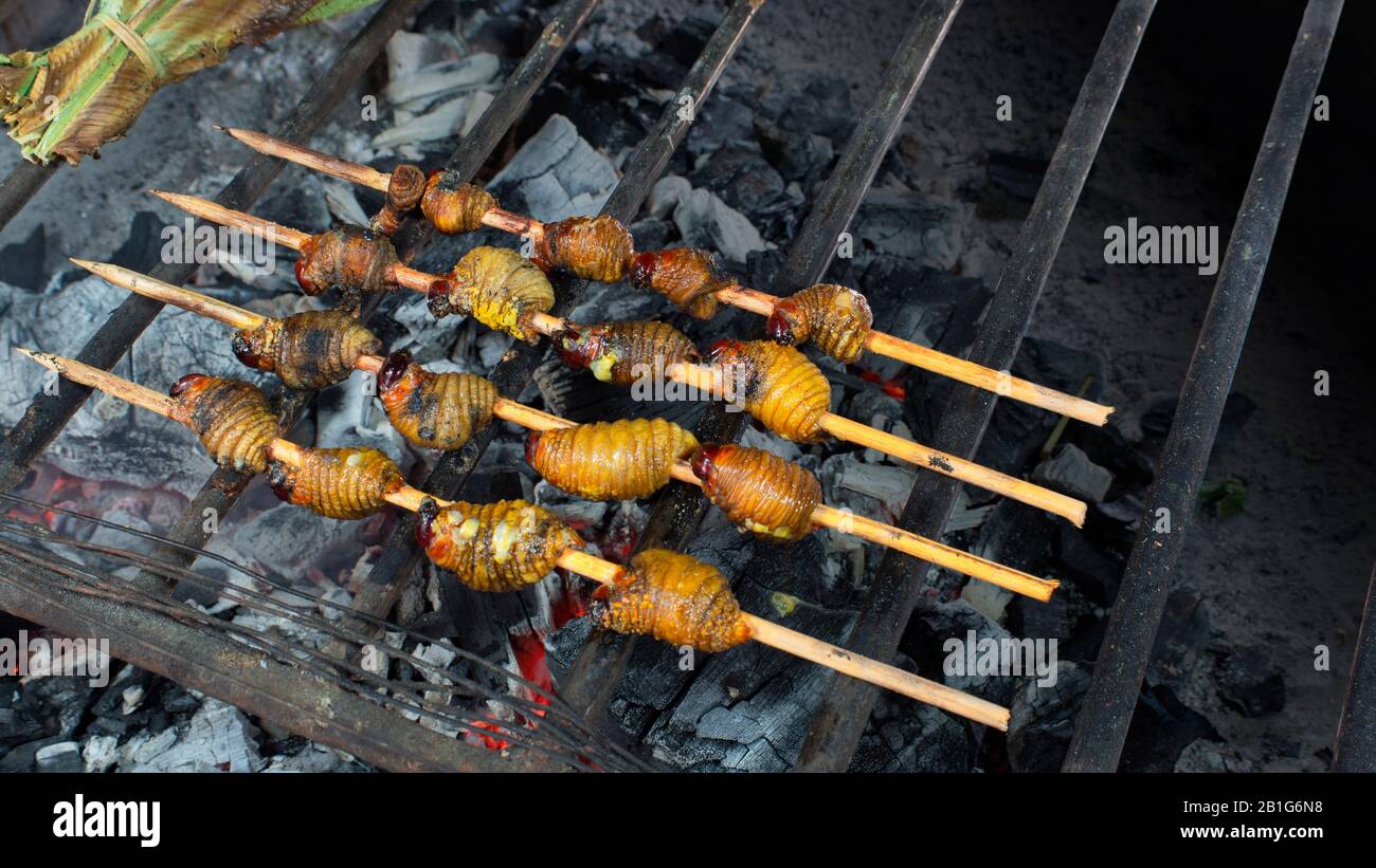 Chontacuros or Mayones (roasted worms) worms on a grill with burning ...