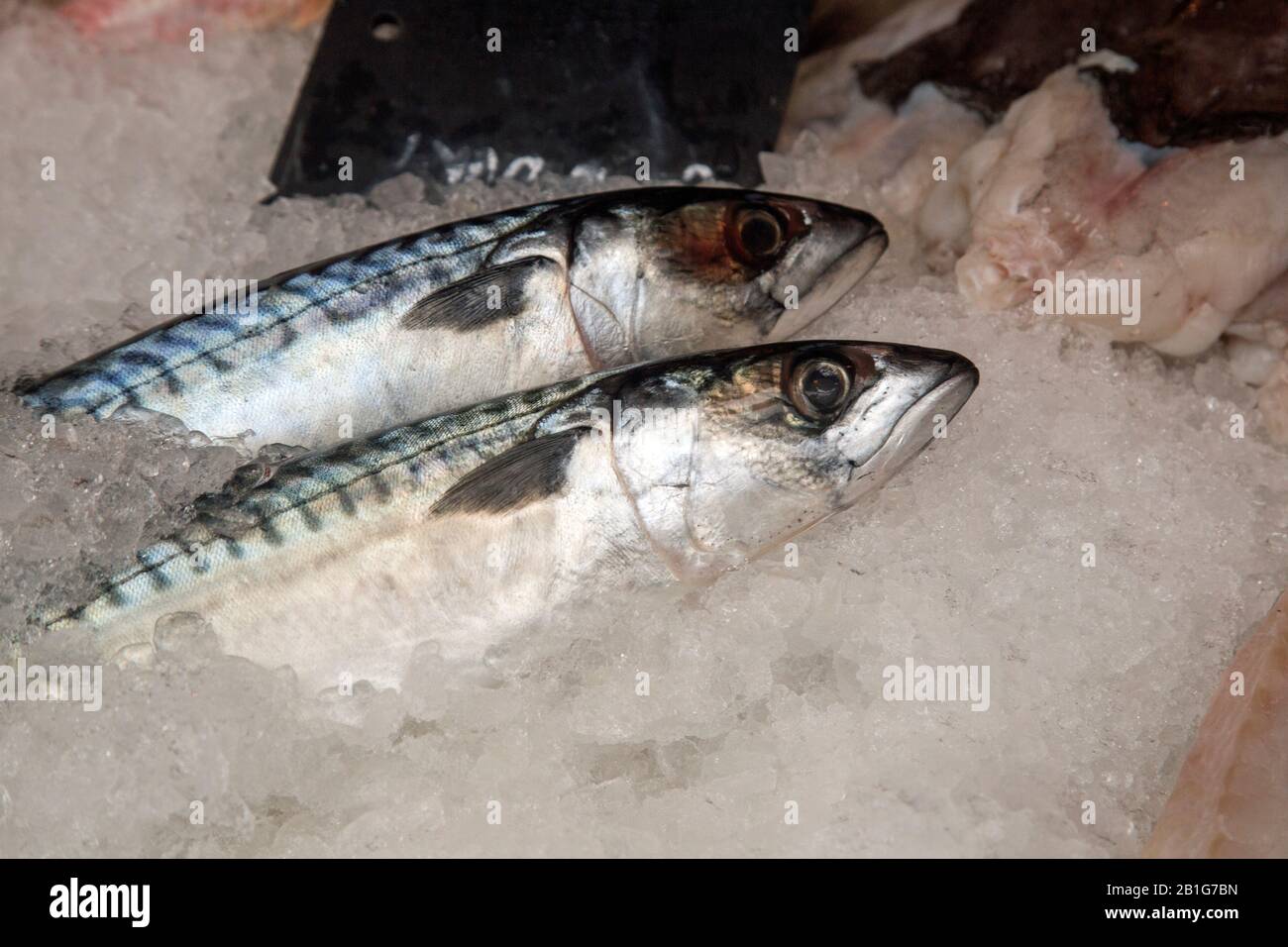 Dead fish on crushed ice hi-res stock photography and images - Alamy