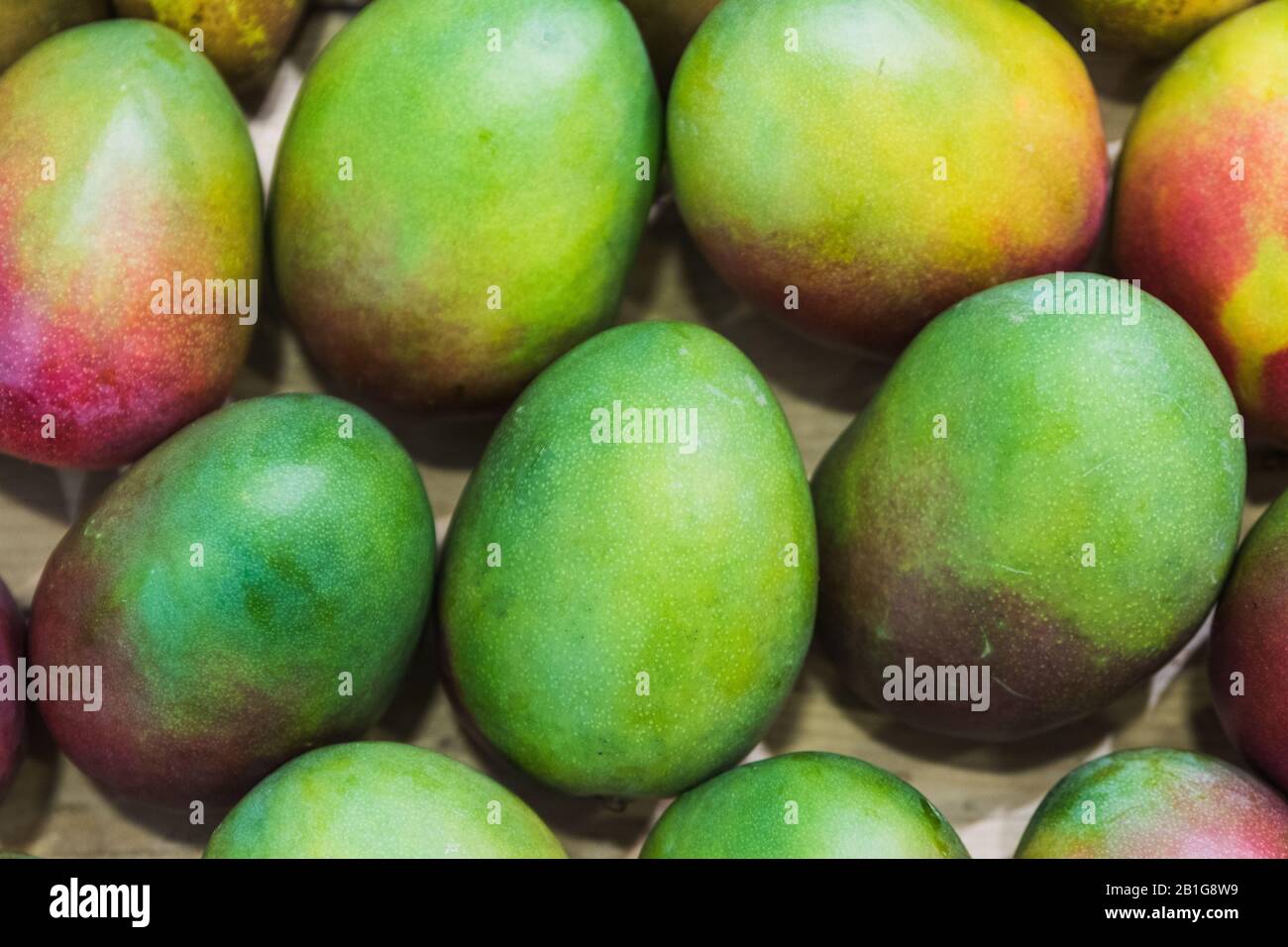 A exposure green mangoes in cardboard shipping boxes Stock Photo - Alamy