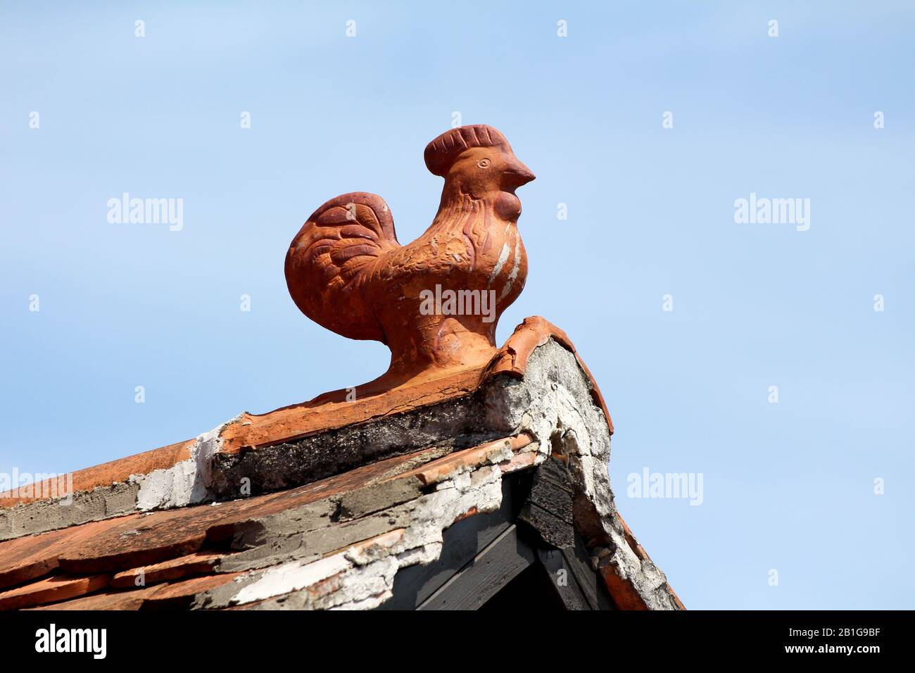 Rooster On Roof High Resolution Stock Photography and Images - Alamy
