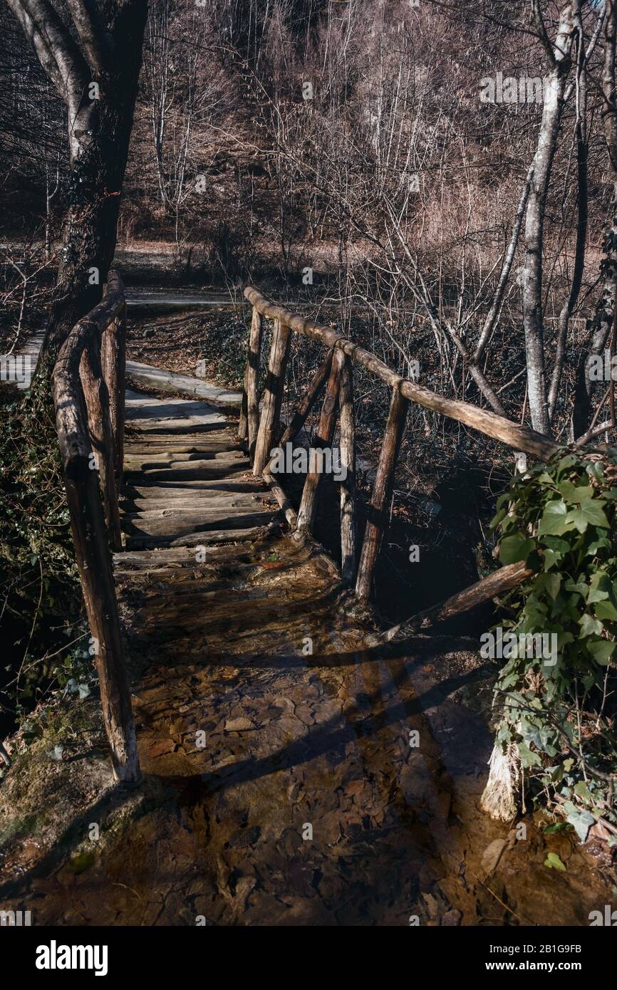 Stone path in the forest and wooden bridge on a waterfall Stock Photo ...