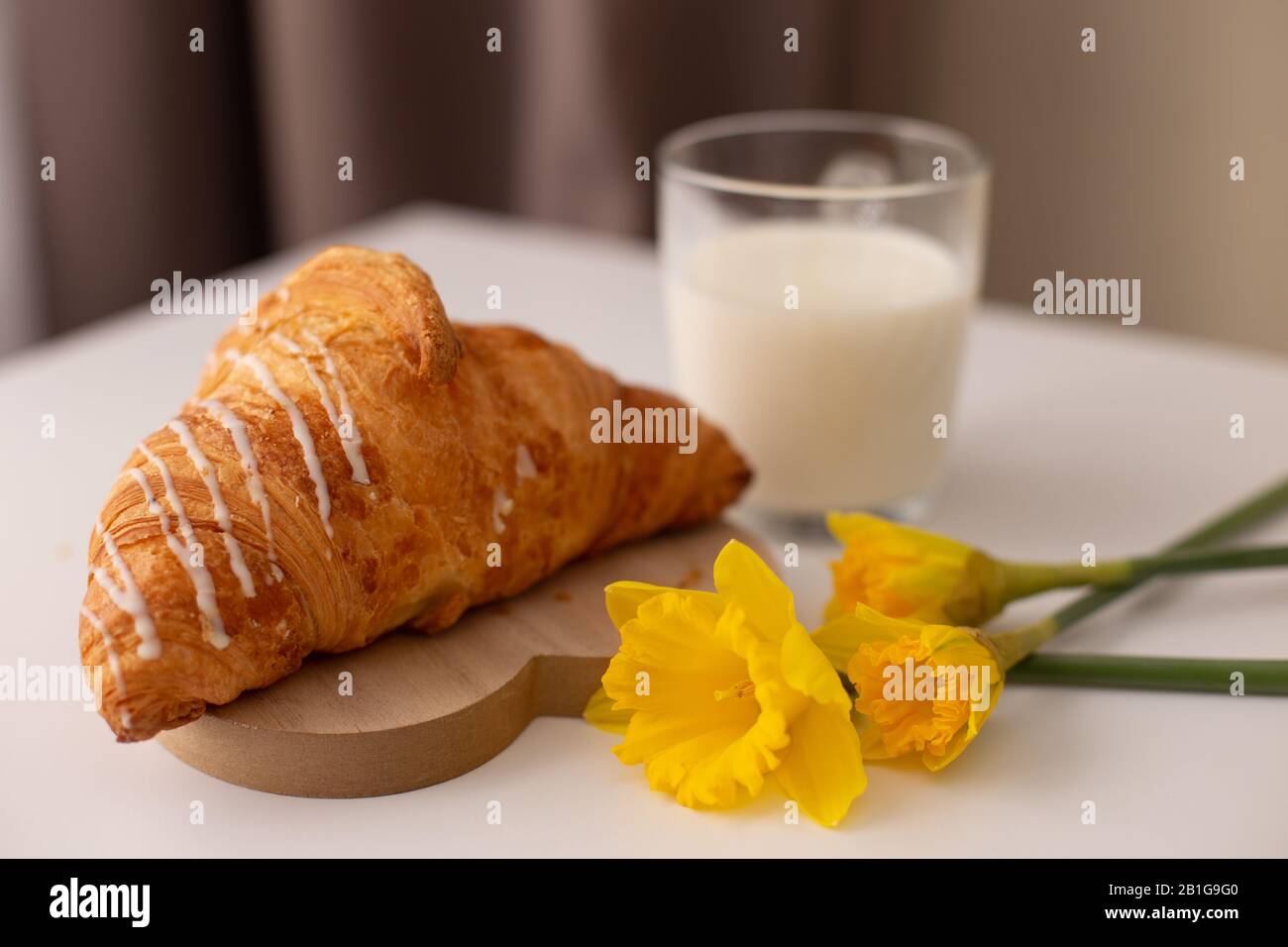 A croissant, a glass of milk and narcissus. Young girl's spring ...