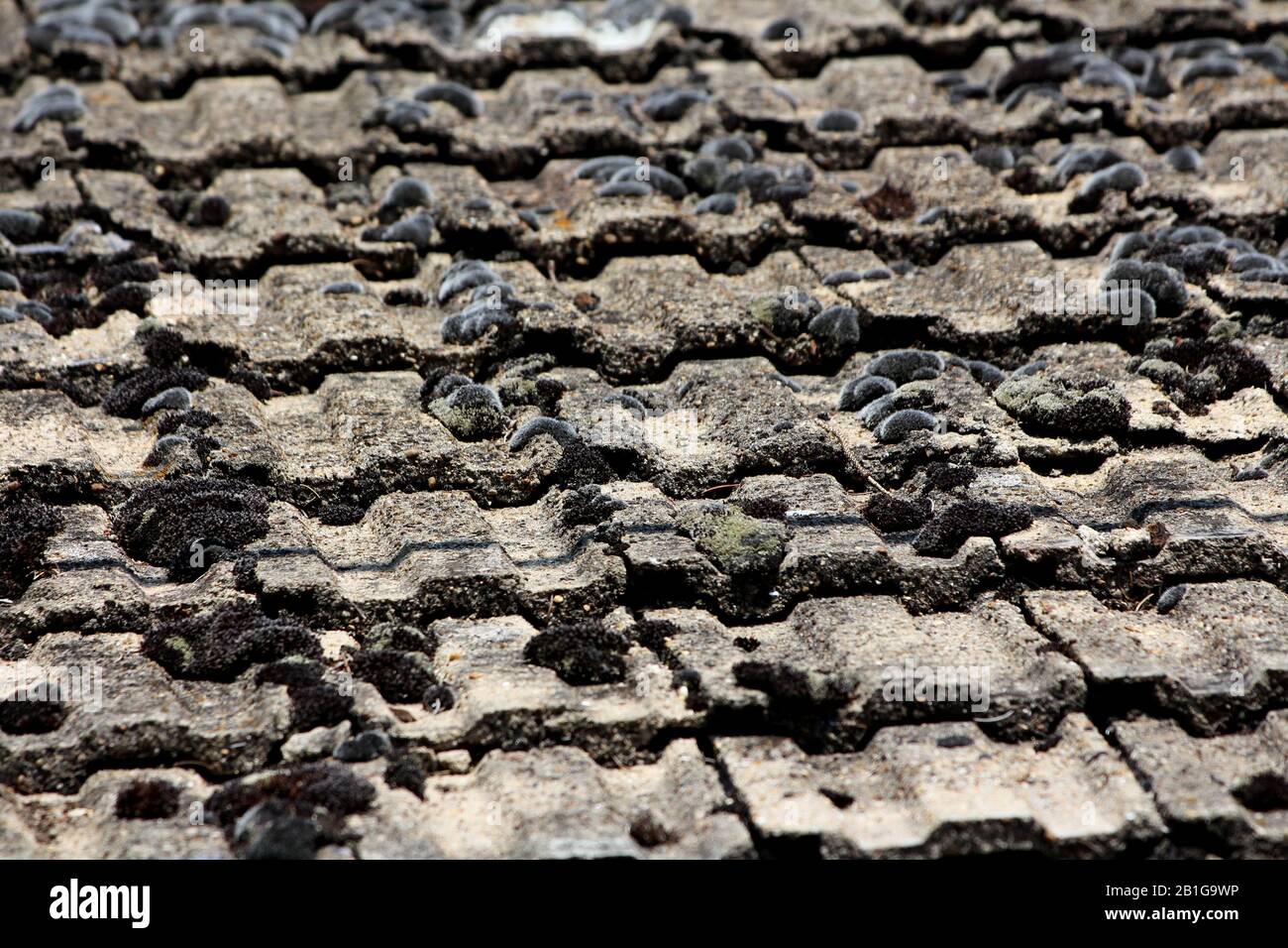 Texture of old dilapidated partially cracked worn out roof tiles ...