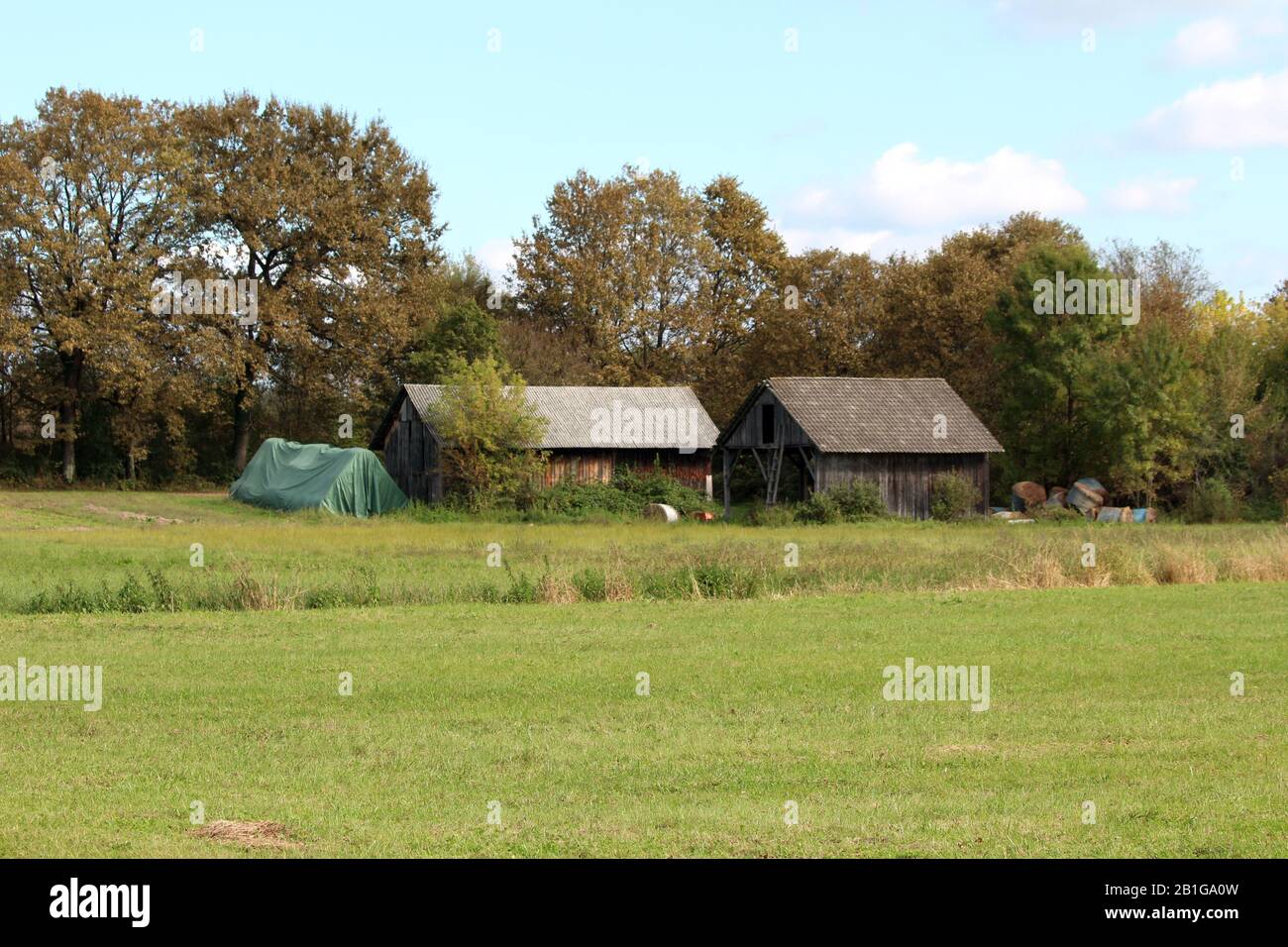 Two old wooden barn and outdoor storage buildings made from dilapidated ...