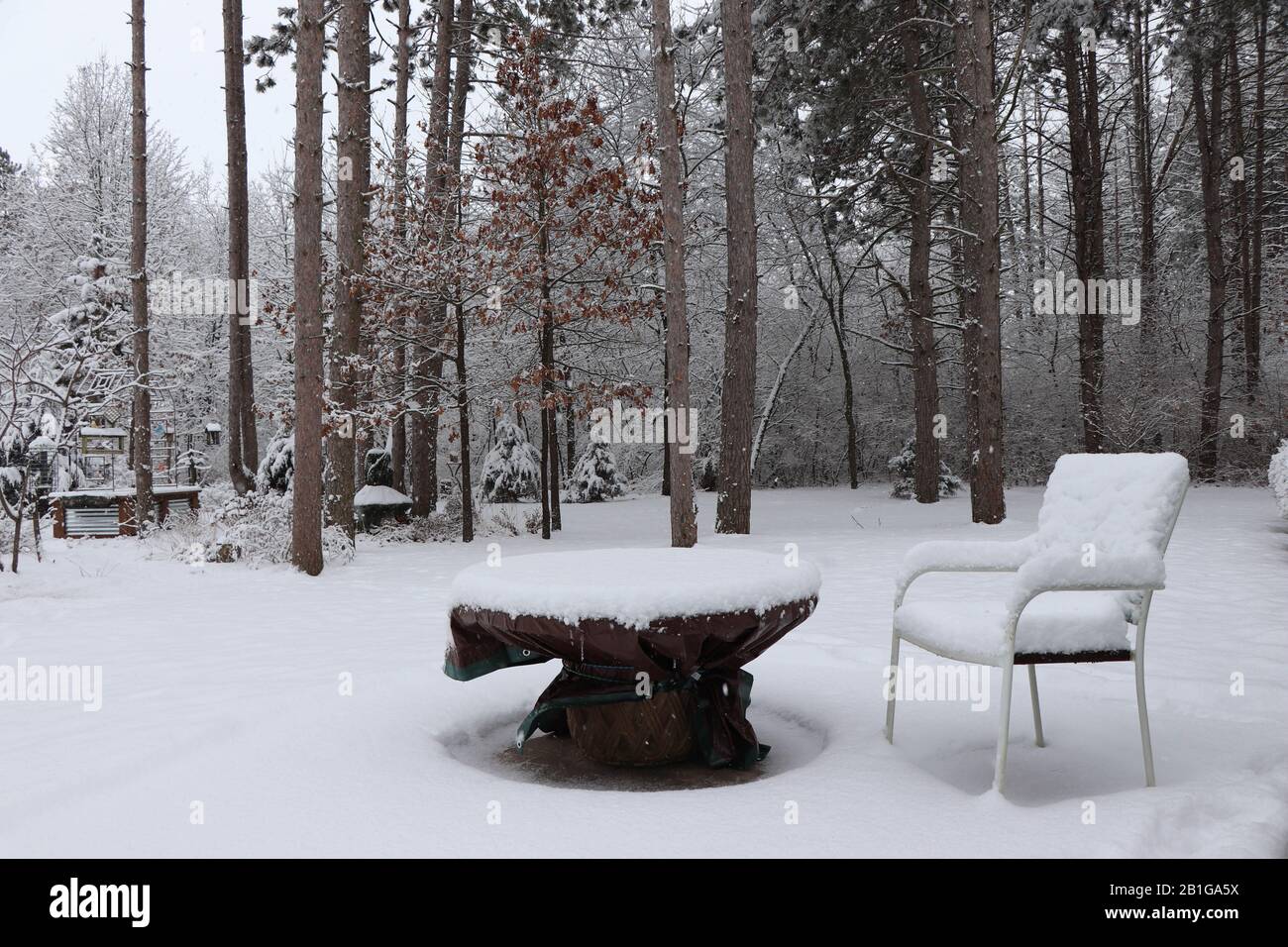 Snow covered winter scene Stock Photo - Alamy
