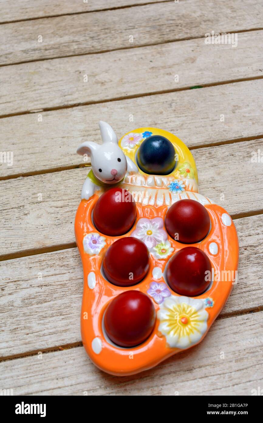 Five red and one blue egg in a rag-shaped egg-box Stock Photo - Alamy
