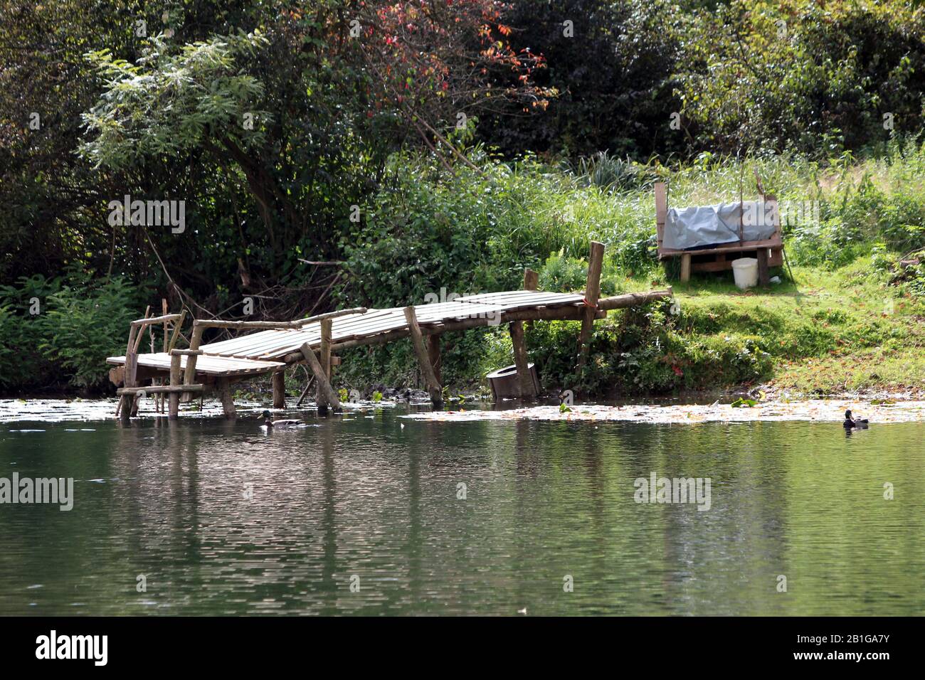 Wooden dilapidated improvised homemade river pier made of wooden boards ...