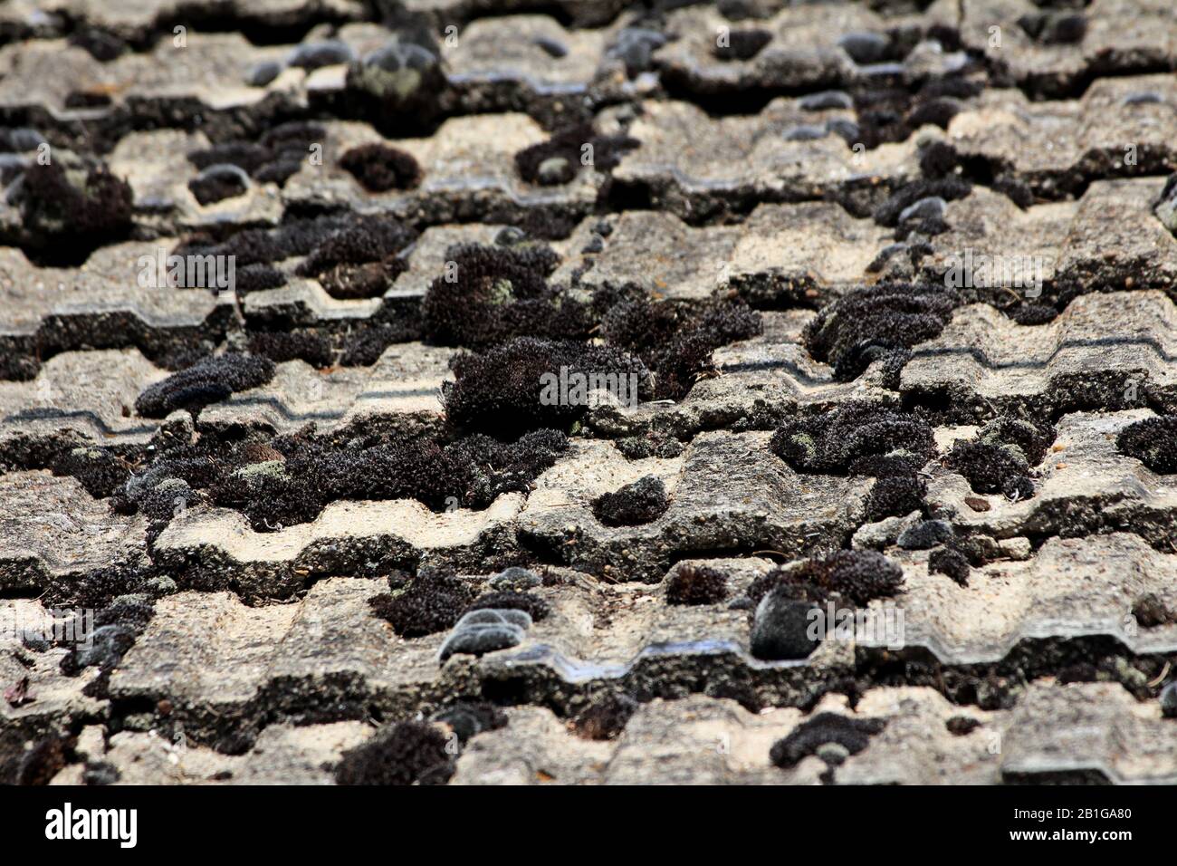 Worn out old dilapidated cracked roof tiles covered with small patches ...