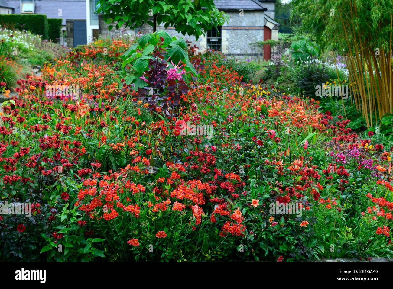 June border hi-res stock photography and images - Alamy